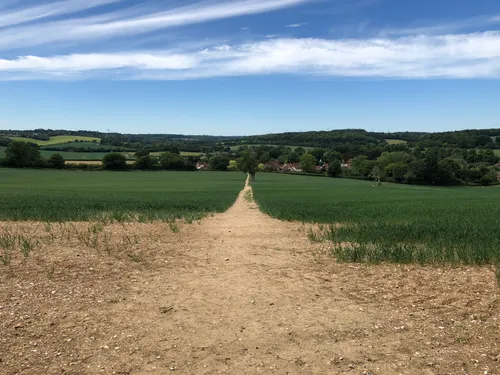 10 Best Hikes and Trails in Chiltern Hills Area of Outstanding Natural ...