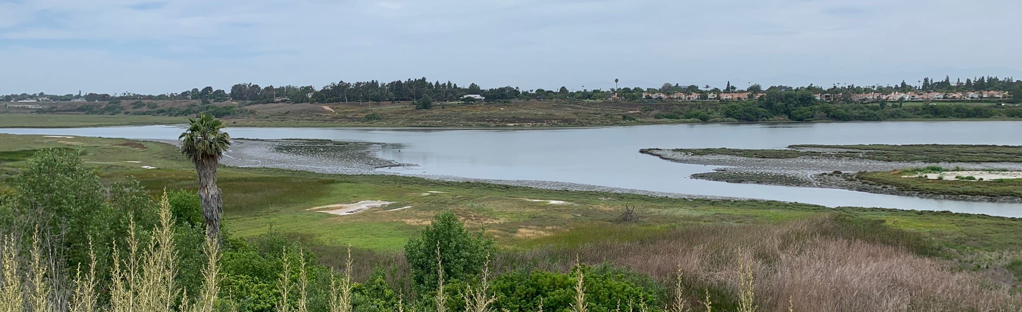 Mountains to Sea Trail: 336 fotos - Califórnia | AllTrails