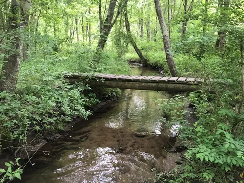 Best Hikes and Trails in Ushers Road State Forest | AllTrails