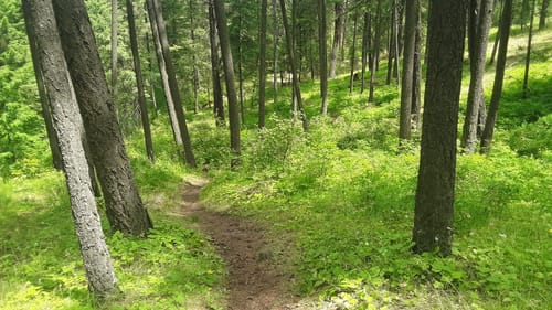 2023 Best 10 Trails and Hikes in Spokane | AllTrails