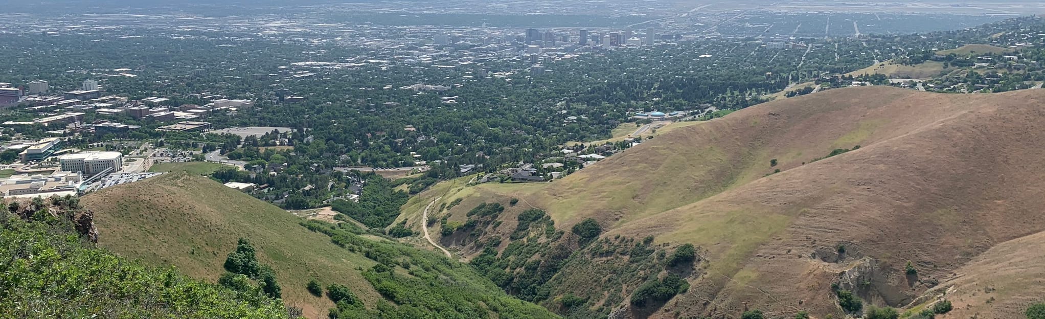 Dry Creek and Mount Van Cott | Map, Guide - Utah | AllTrails