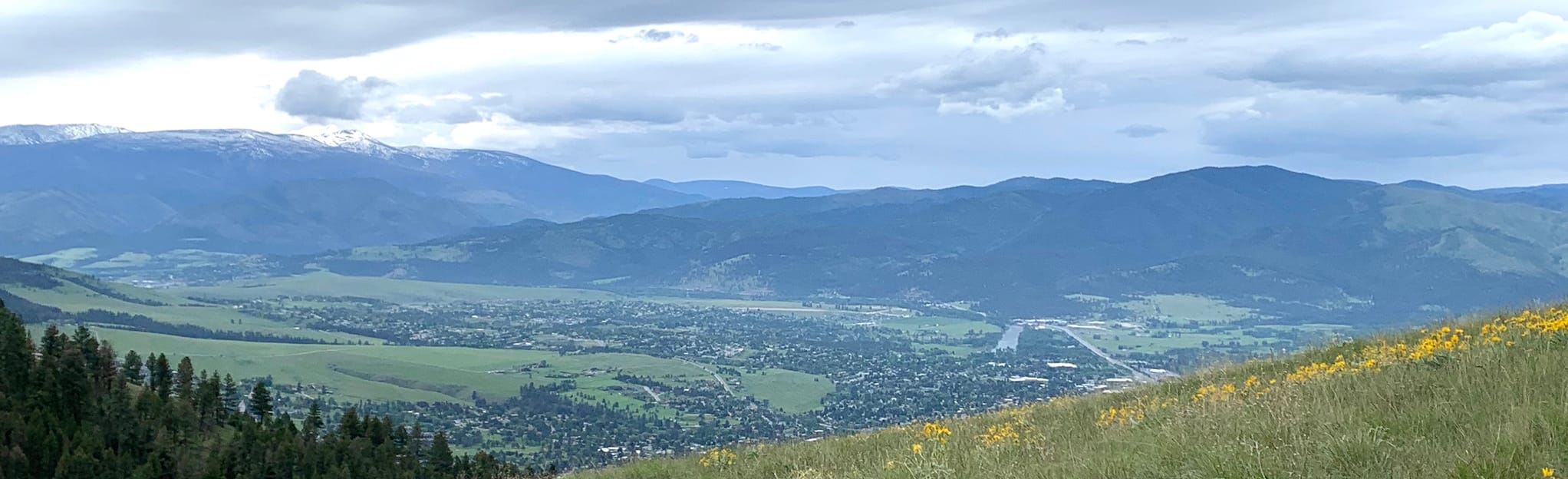 Mount Sentinel via Pengelly Ridge Trail - Montana | AllTrails