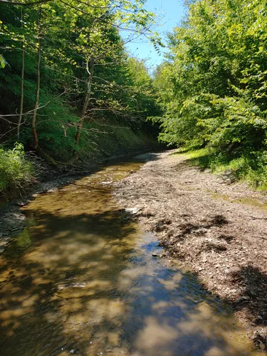 Best Hikes and Trails in Deam Lake State Recreation Area | AllTrails