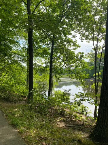 10 Best Trails and Hikes in Springfield | AllTrails