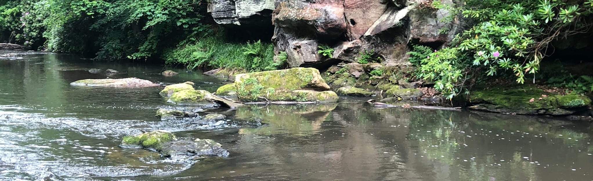 Roslin Glen and Chapel: 82 Reviews, Map - Midlothian, Scotland | AllTrails