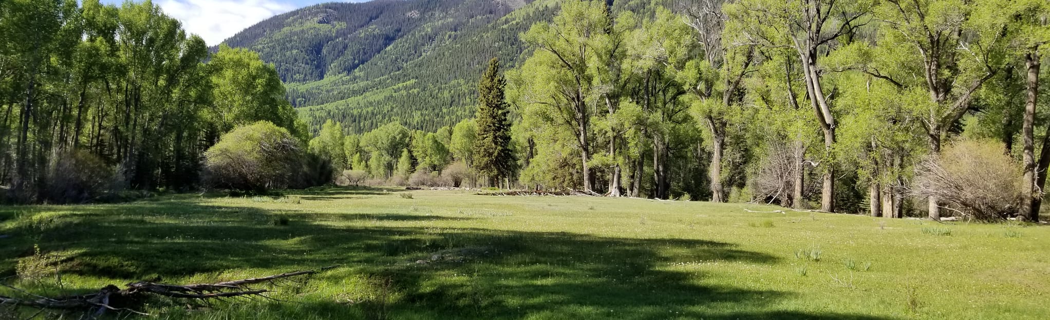 South Fork Trail, Colorado - 23 Reviews, Map | AllTrails