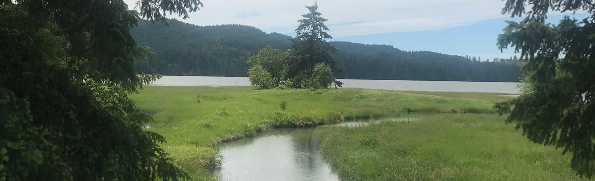 Row River Trail, Oregon - 176 Reviews, Map | AllTrails