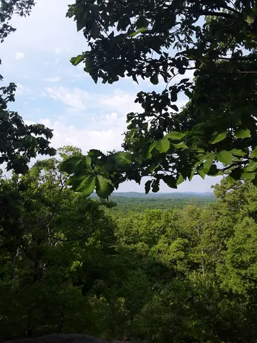 10 Best Forest Trails in Meshomasic State Forest | AllTrails