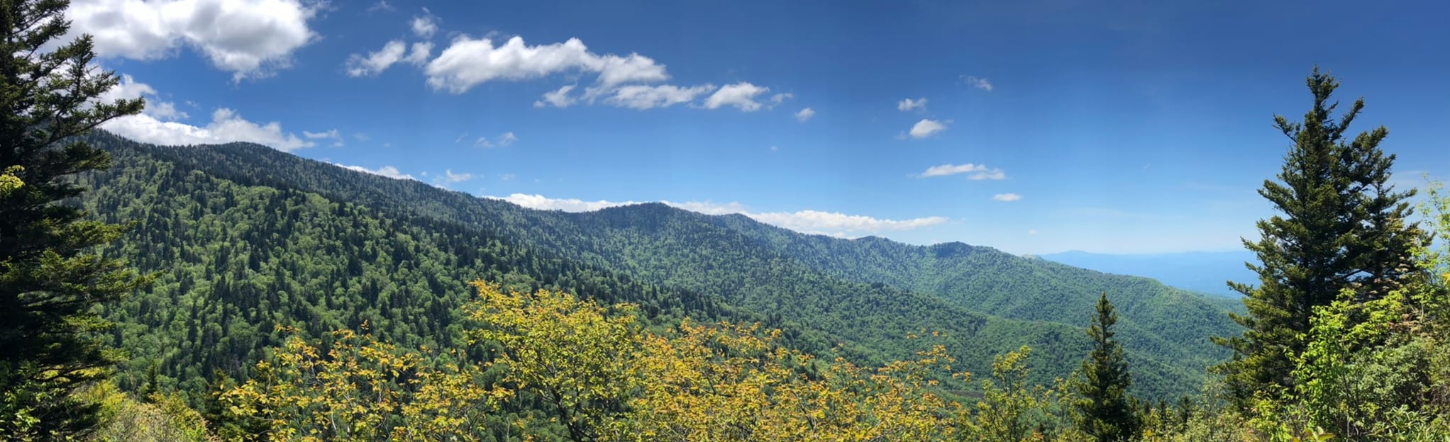 Mt. Cammerer Backpacking Loop, Tennessee - 36 Reviews, Map | AllTrails