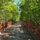 Soo Line North OHV Trail, Minnesota - 12 Reviews, Map | AllTrails