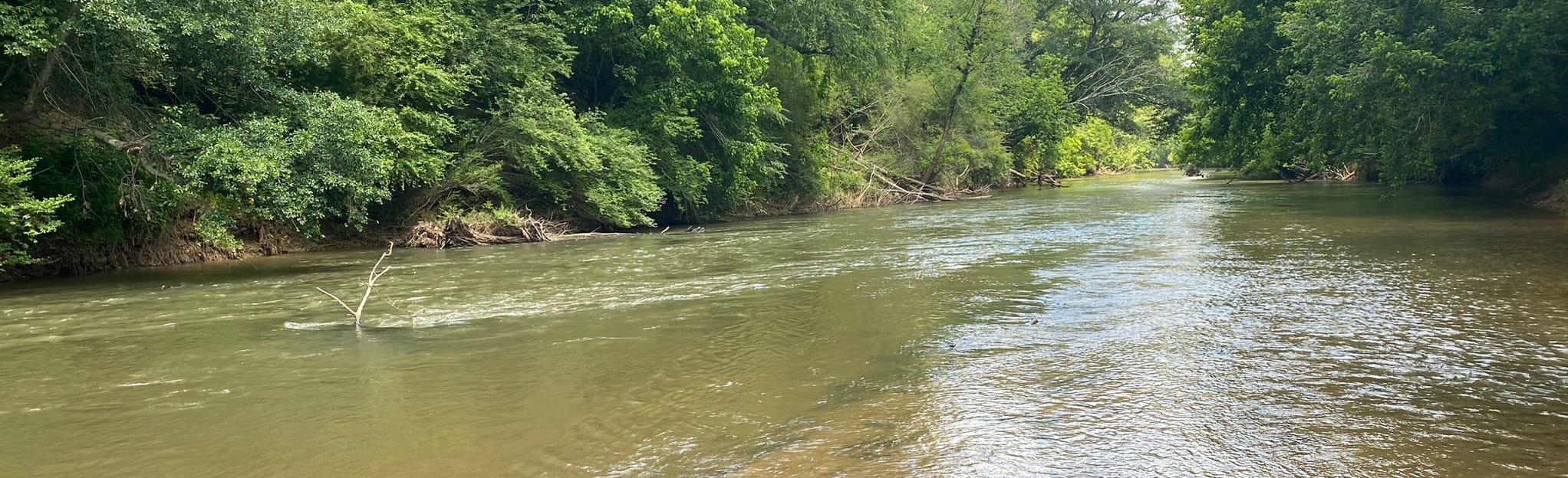 Eagle's Beak Trail, Georgia - 205 Reviews, Map | AllTrails