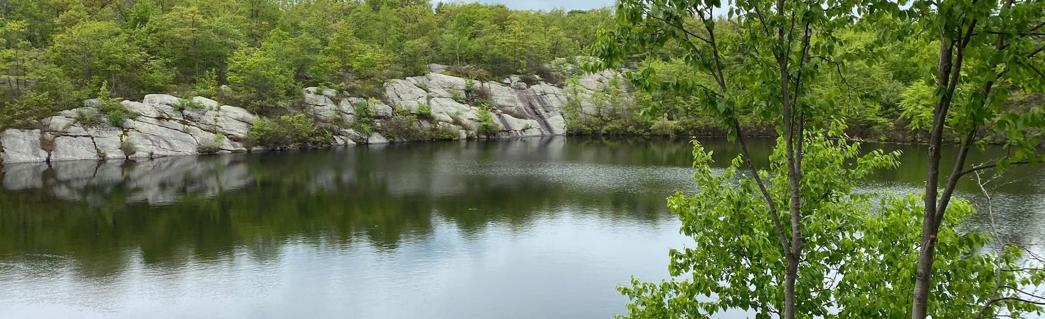 Terrace Pond Blue Loop: 779 foto's - New Jersey | Wandelen - AllTrails