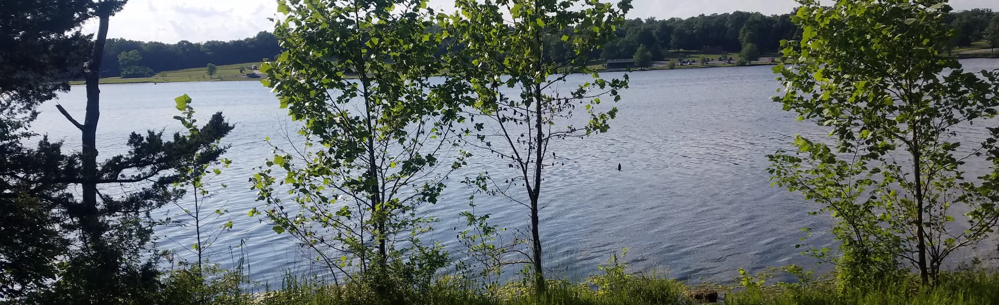 Binder Lake Yellow Loop - Missouri | AllTrails