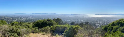 10 Best Trail Running Trails in Berkeley | AllTrails