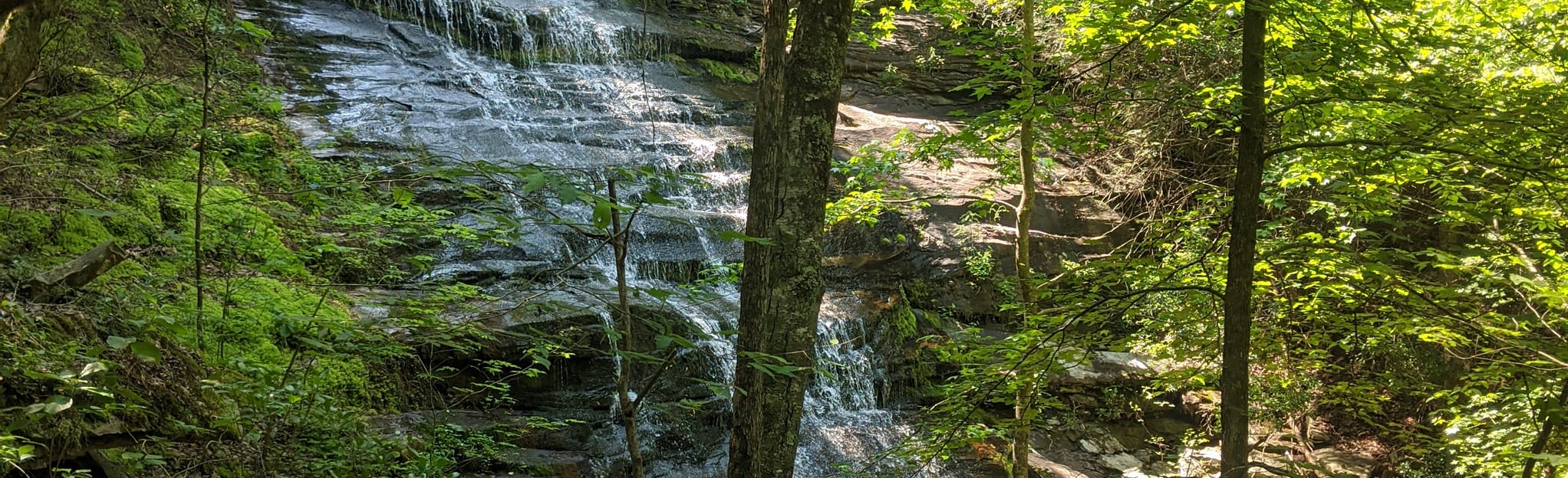 Blowing Wind Falls via Ritchie Hollow Trail: 407 Reviews, Map ...