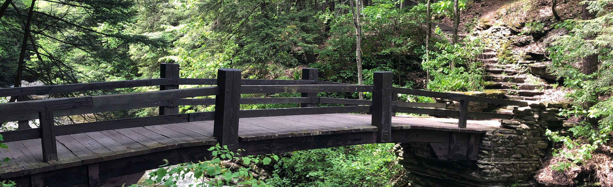 Stony Brook Rim Trail Loop, New York - 345 Reviews, Map | AllTrails