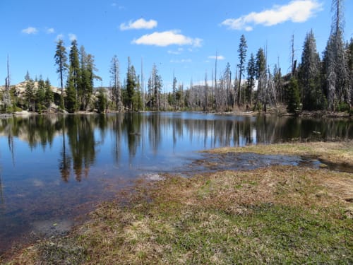 Best Hikes and Trails in Mi Wuk Village | AllTrails