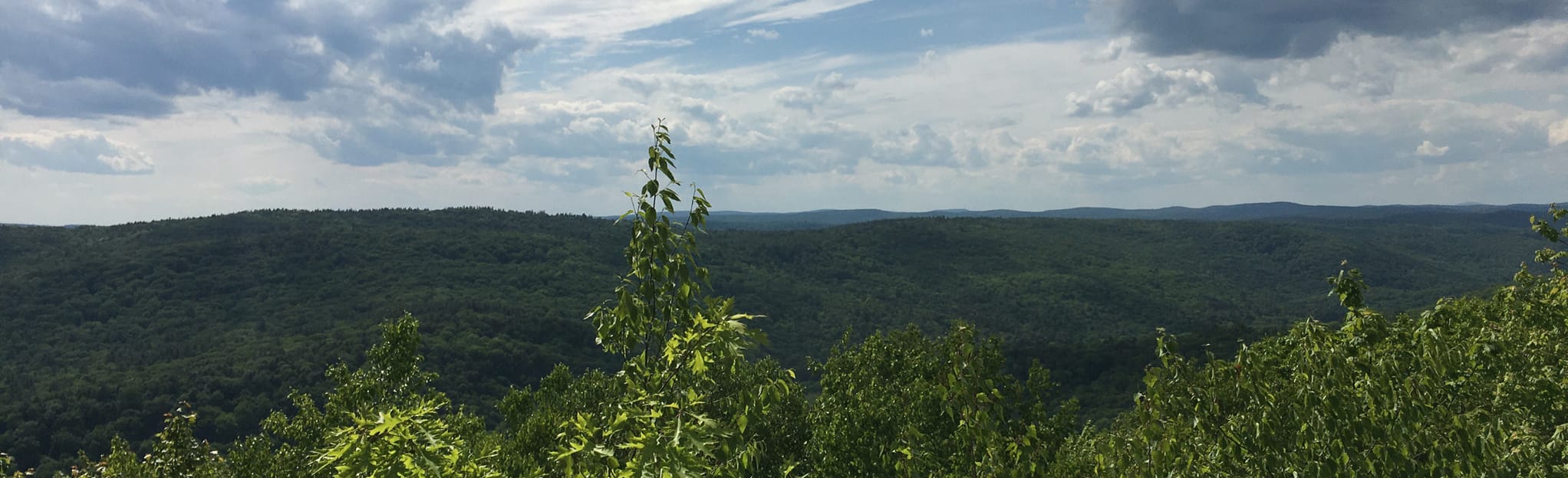 Indian Hollow Pinnacle Trail, Massachusetts - 26 Reviews, Map | AllTrails
