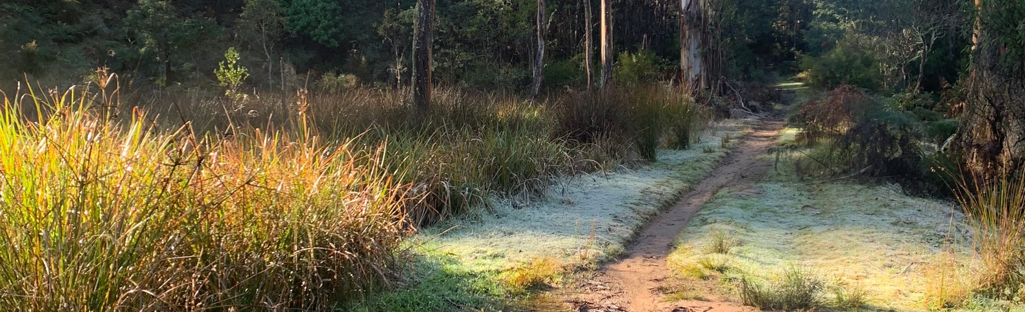 Delatite River Trail, Victoria, Australia - 39 Reviews, Map | AllTrails