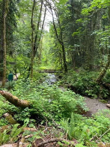 10 Best Hikes and Trails in Larrabee State Park | AllTrails