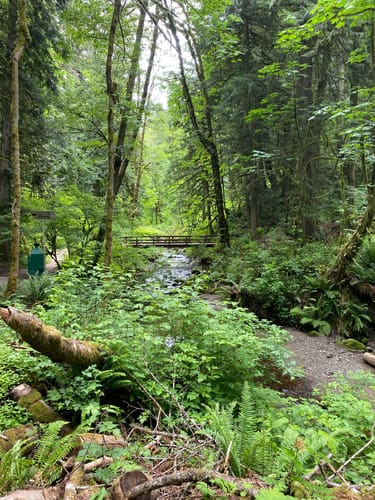 Best 10 Hikes and Trails in Larrabee State Park | AllTrails