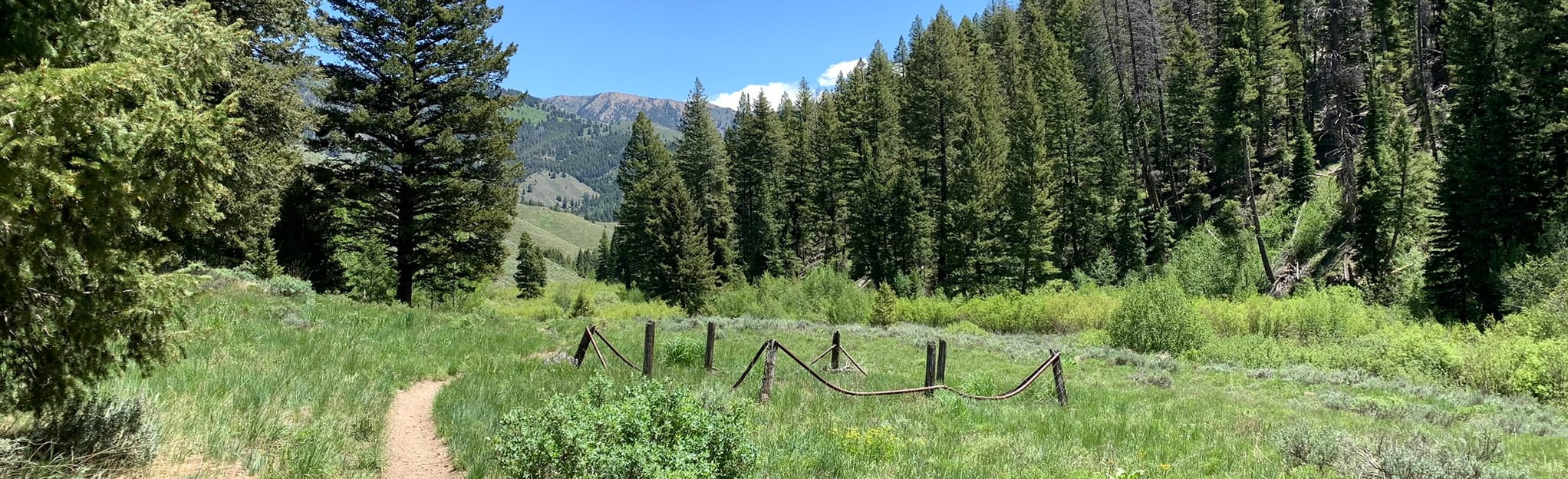 Oregon Gulch Trail: 49 Reviews, Map - Idaho | AllTrails