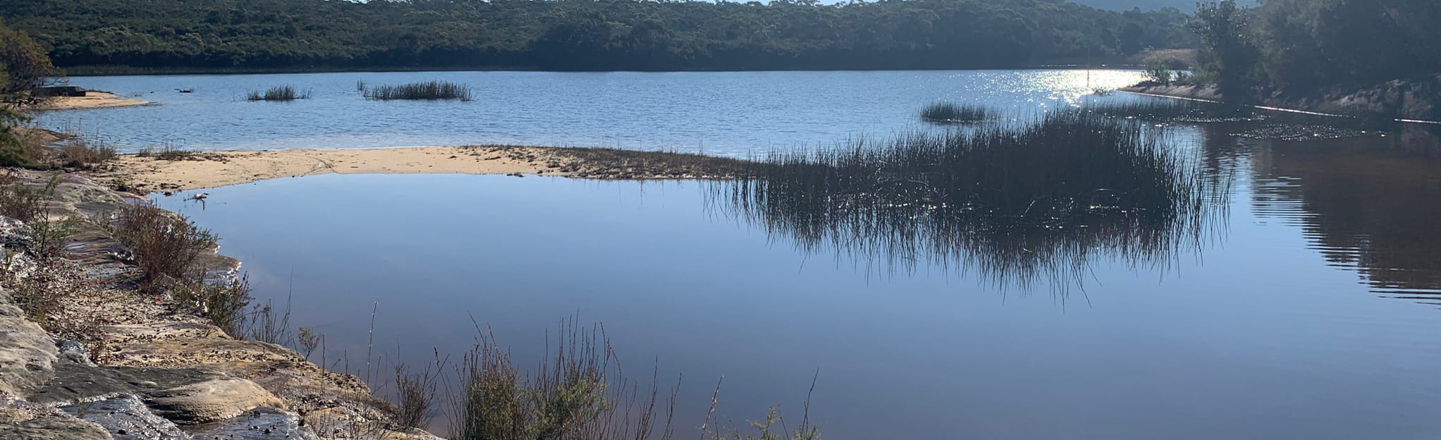 Forest Path via Wodi Wodi Track: 19 Reviews, Map - New South Wales ...