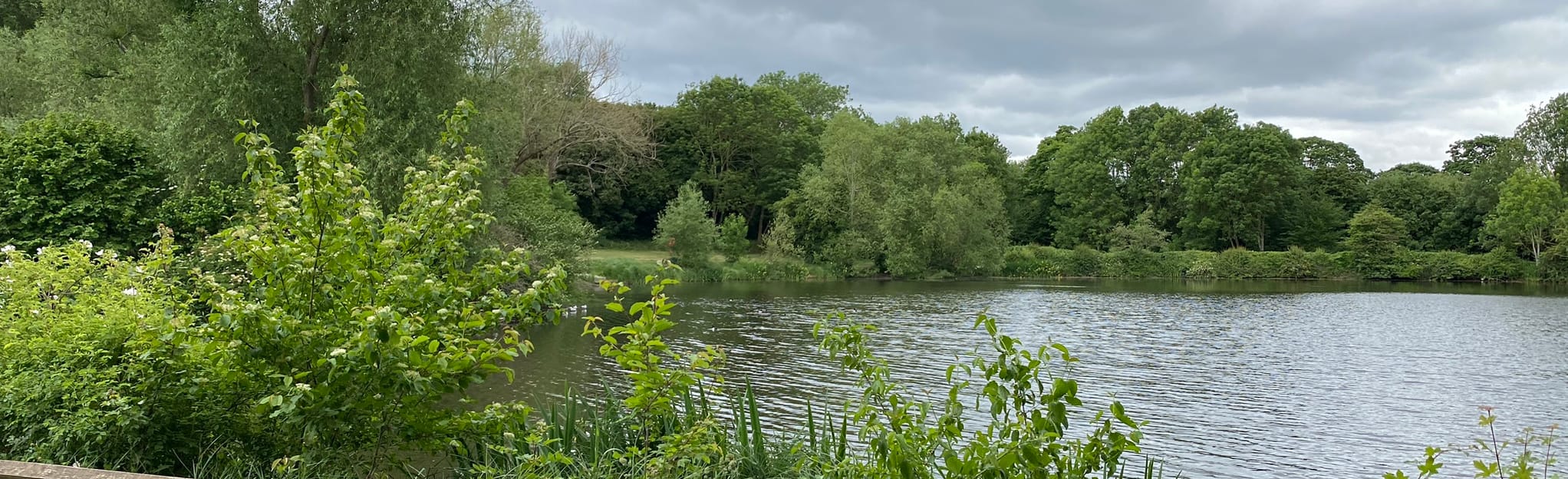 Capstone Farm Yellow Route, Kent, England - 127 Reviews, Map | AllTrails