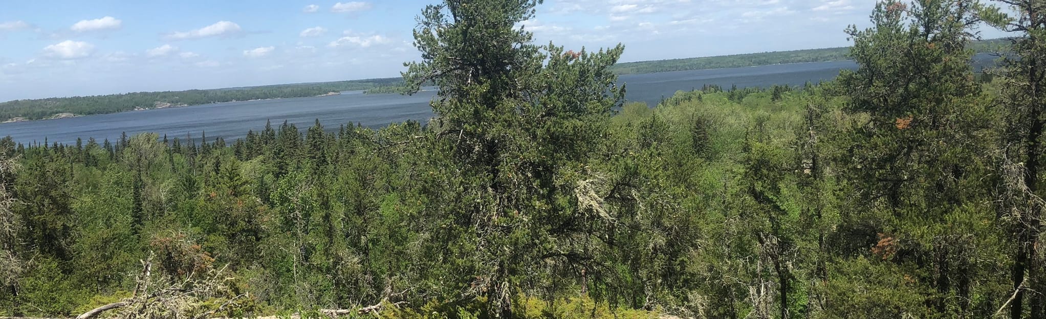 Big Whiteshell Hiking Trail: 59 foto's - Manitoba, Canada | AllTrails