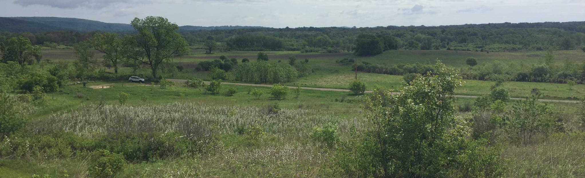 Merrimac Tower Trail, Wisconsin - 16 Reviews, Map | AllTrails