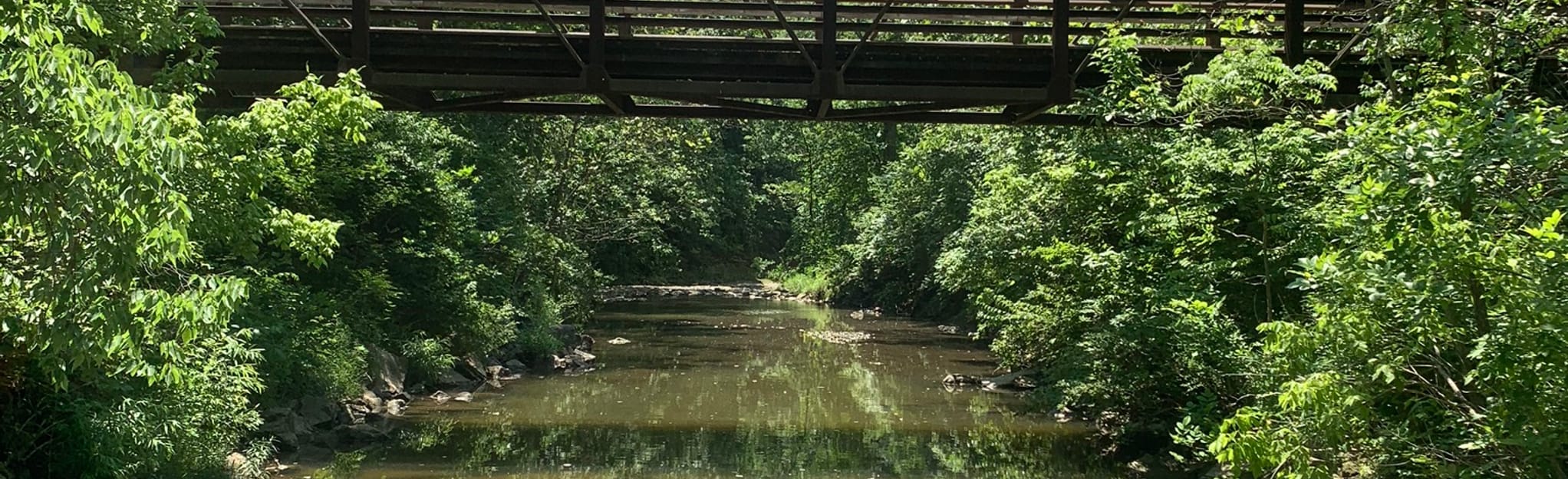Grindstone Ridge Trail, Missouri - 99 Reviews, Map | AllTrails