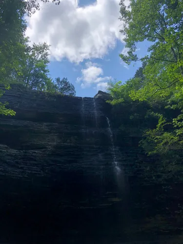 10 Best Trails and Hikes in Heber Springs | AllTrails