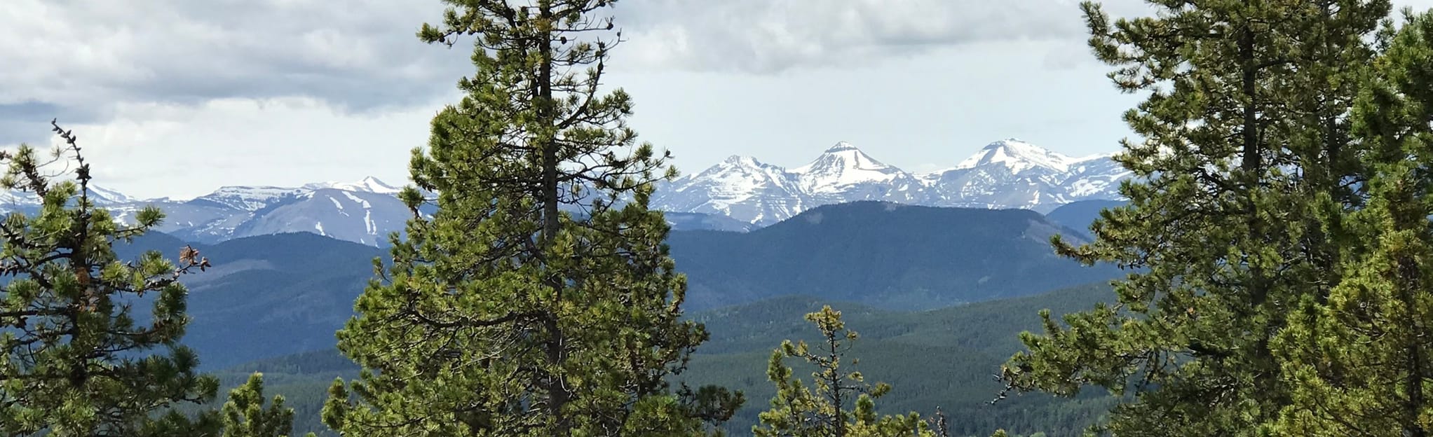 Strange Brew Loop, Alberta, Canada - 1,229 Reviews, Map | AllTrails