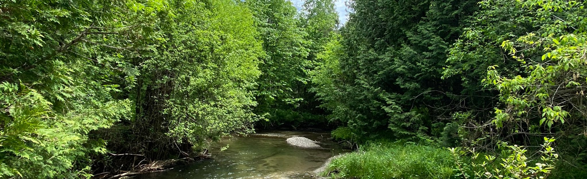 AllTrails | Orono Crown Lands Green Trail: 59 Reviews, Map - Ontario ...