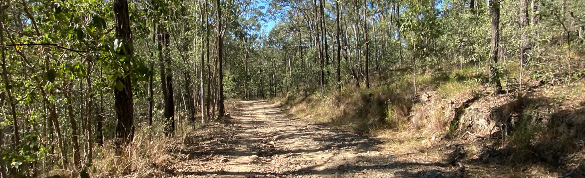 Nerang Goat Track Loop, Queensland, Australia - 605 Reviews, Map ...