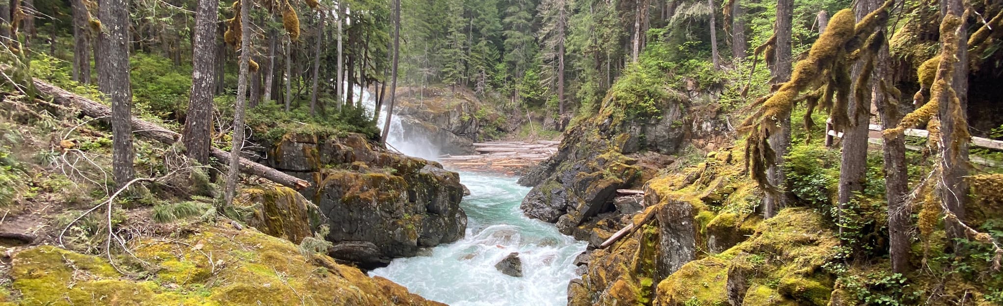 Silver Falls via Laughingwater Trail, Washington - 373 Reviews, Map ...