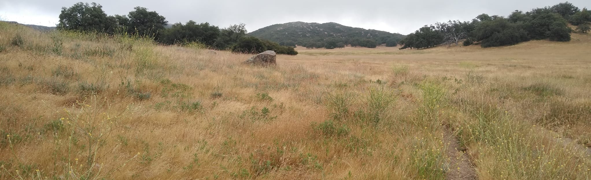 Roberts Ranch Trail, California - 61 Reviews, Map | AllTrails