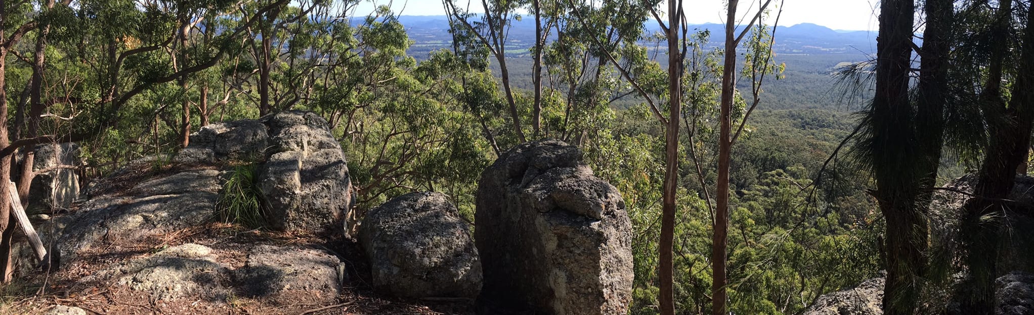 Bago Lookout via Nine Tree Road: 4 Reviews, Map - New South Wales ...