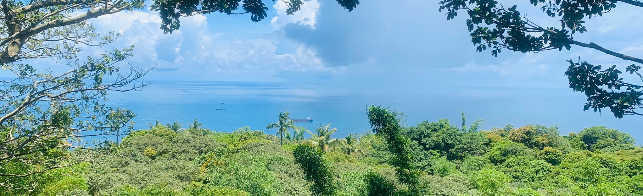 Shoushan Zoo and Monkey Mountain: 216 foto's - Kaohsiung, Taiwan ...