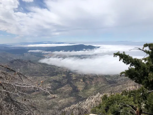 10 Best Trails and Hikes in Idyllwild-Pine Cove | AllTrails