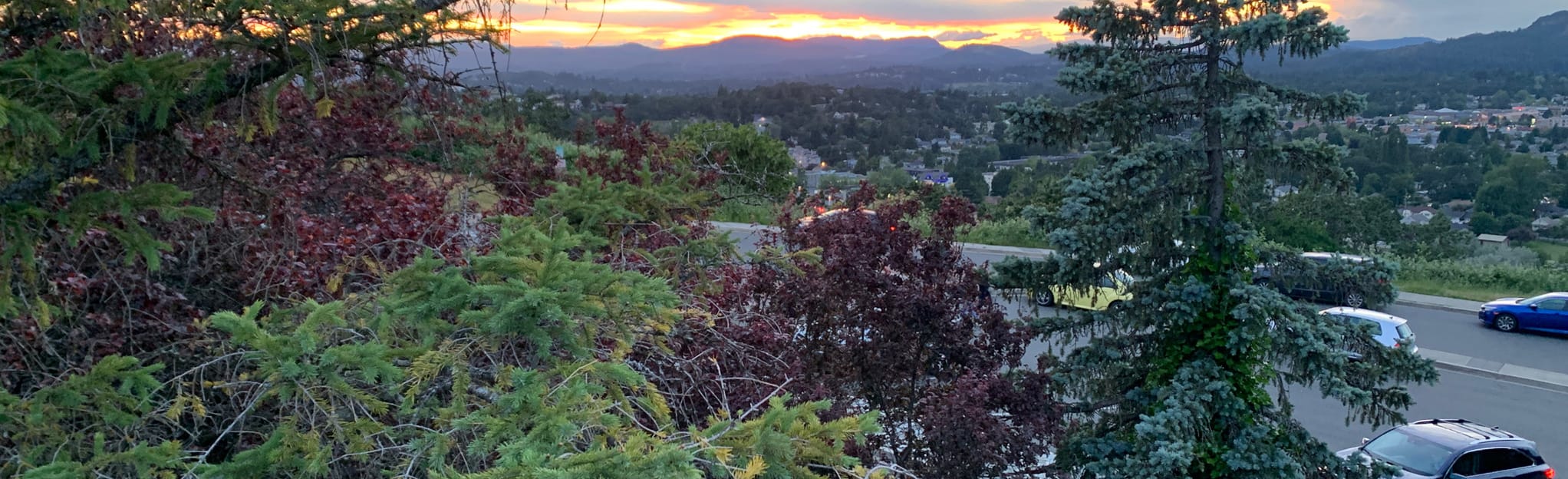 Mount Tolmie Loop: 149 Reviews, Map - British Columbia, Canada | AllTrails