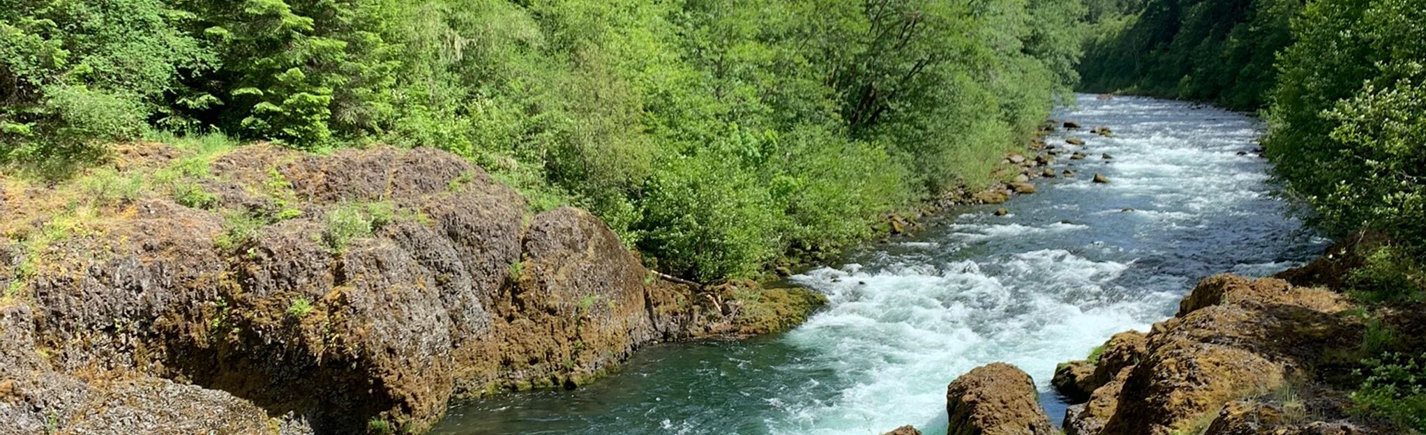 Clackamas River Trail #715 [FECHADO]: 618 fotos - Oregon | AllTrails