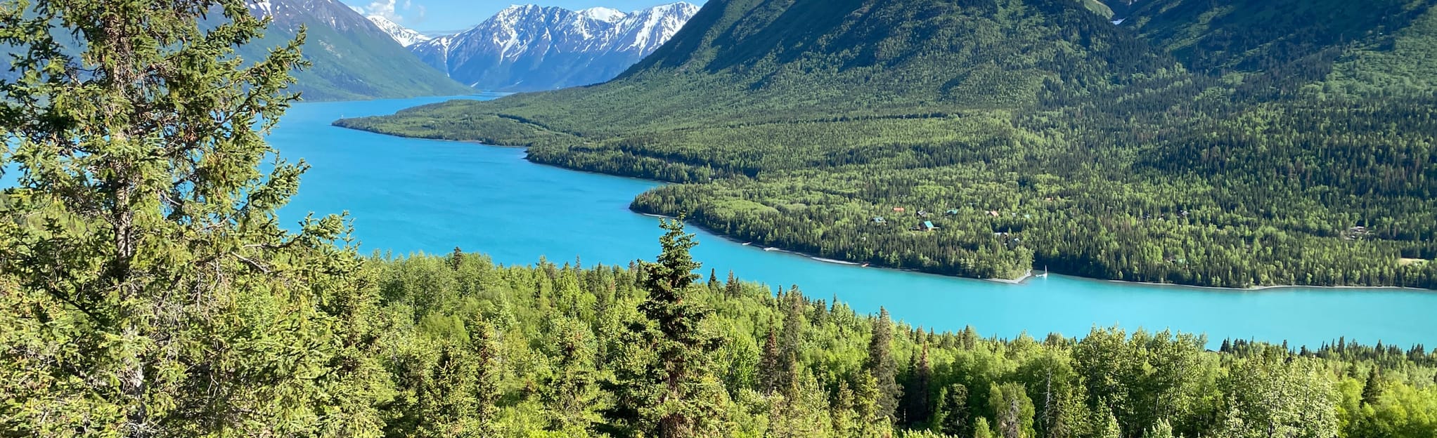 Slaughter Ridge Trail: 743 Reviews, Map - Alaska | AllTrails