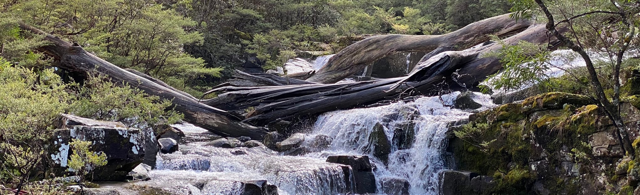 Gloucester Falls and River Walk: 10 Reviews, Map - New South Wales ...