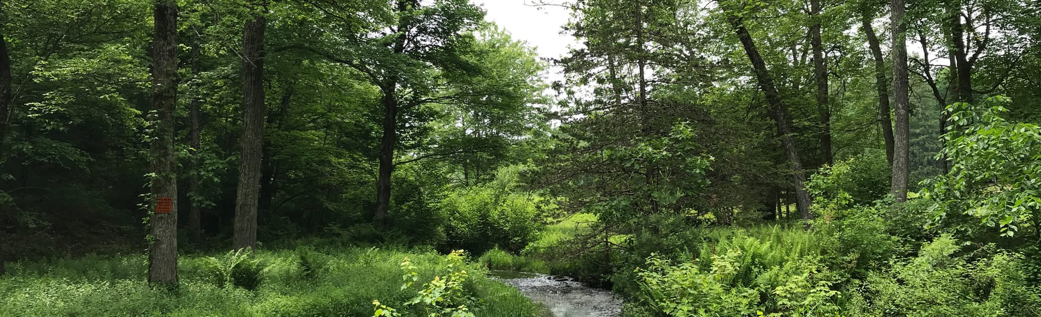 McLean Blue To Red Loop, Connecticut - 269 Reviews, Map | AllTrails