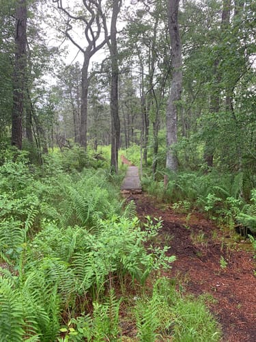 Best Hikes and Trails in Jakes Branch County Park | AllTrails