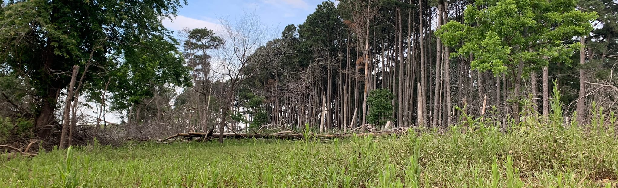 Sequoyah State Park: Red Section | Map, Guide - Oklahoma | AllTrails