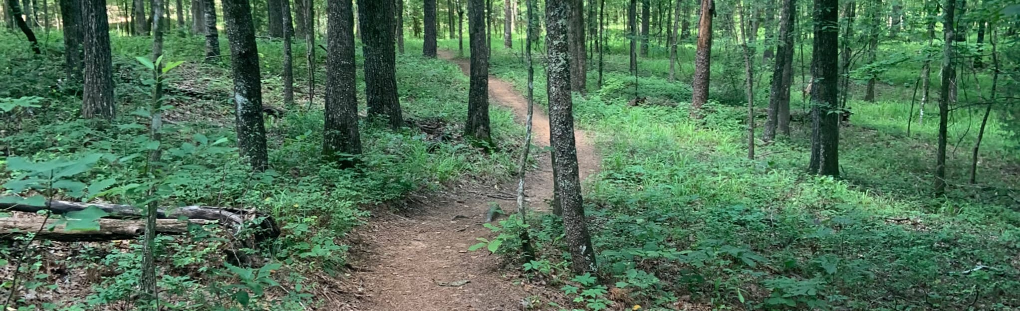 Oak Mountain Family Trail, Alabama - 67 Reviews, Map | AllTrails