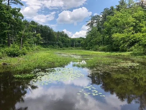 10 Best Trails and Hikes in Exeter | AllTrails