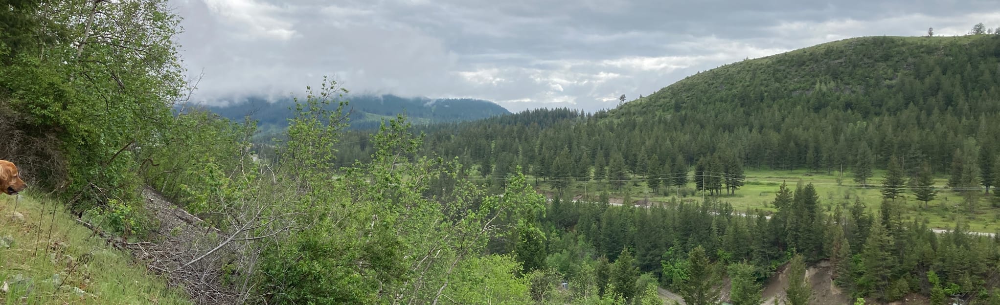 Wigwam Rim Trail to Elk River Confluence, British Columbia, Canada - 8 ...